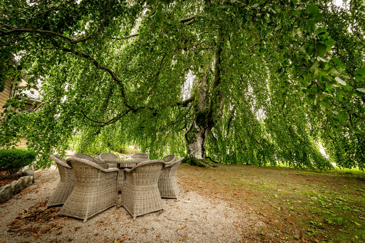 Romantisk weekend på Kronen Gaard ved Stavanger - De Historiske